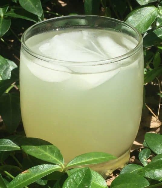 Summertime Lemonade Recipe | Money In Your Tea